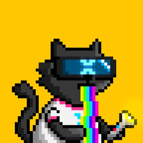 Let's Cat #898 - Lets Cat | xrp.cafe